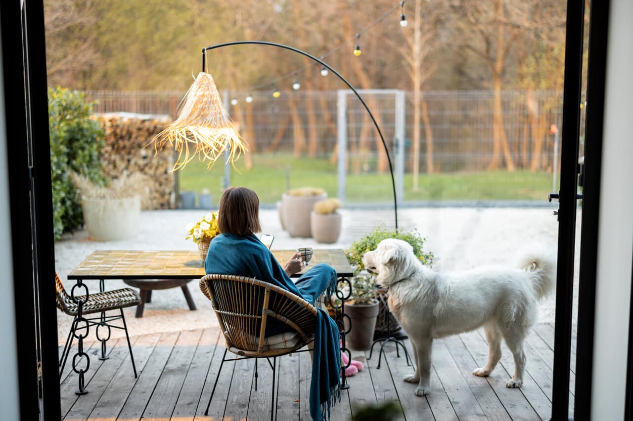 Pet-Friendly Patio: Making Your Outdoor Space a Pet's Dream